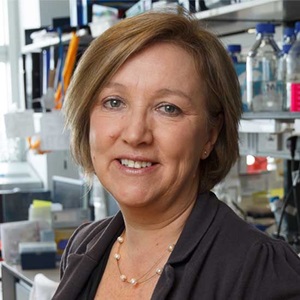 Scientific Advisors - Cambridge Gravity